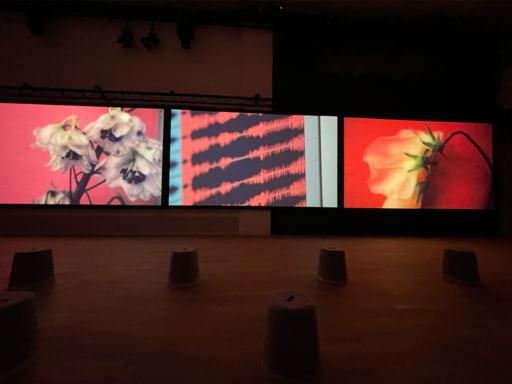 KLARA PLAINER — Video Installation at Elbphilharmonie | Yulia Mahr and ...